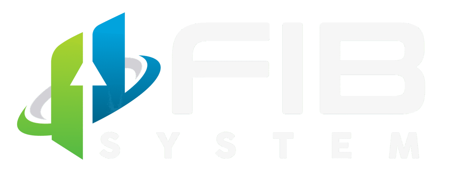 FIB System